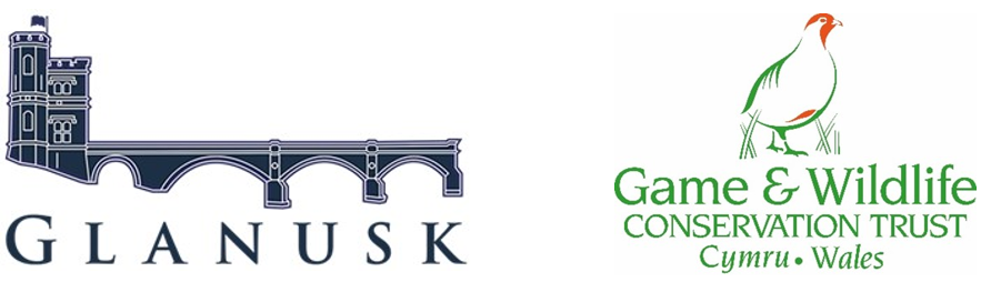 MEDIA RELEASE: For immediate release